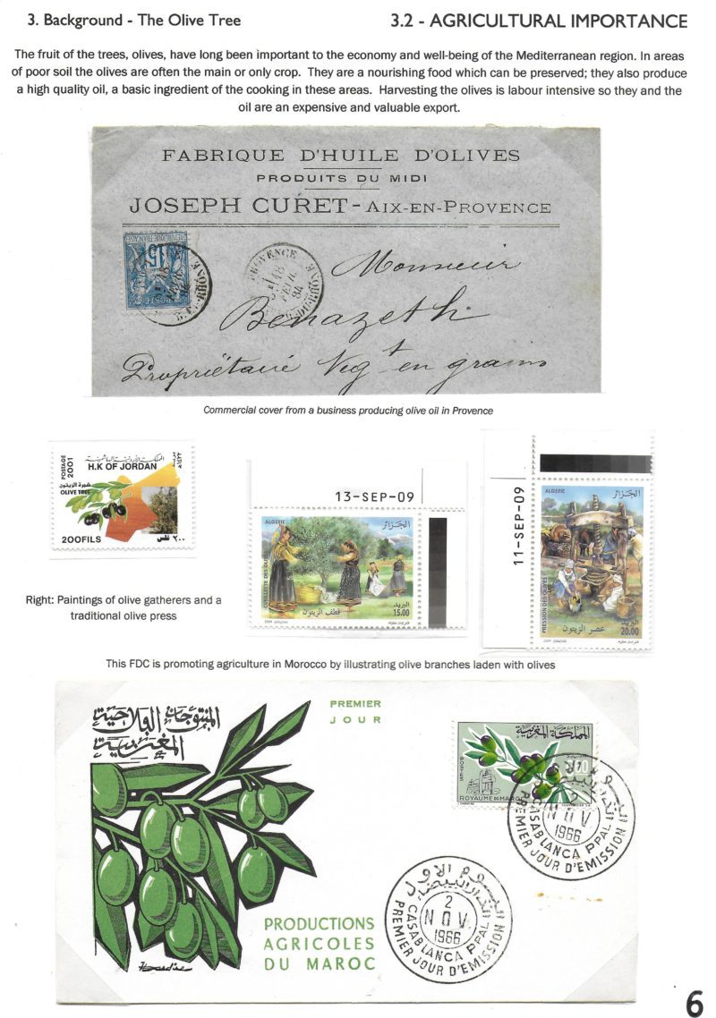 The Dove and Olive Branch; Symbols of Hope and Peace - ABPS