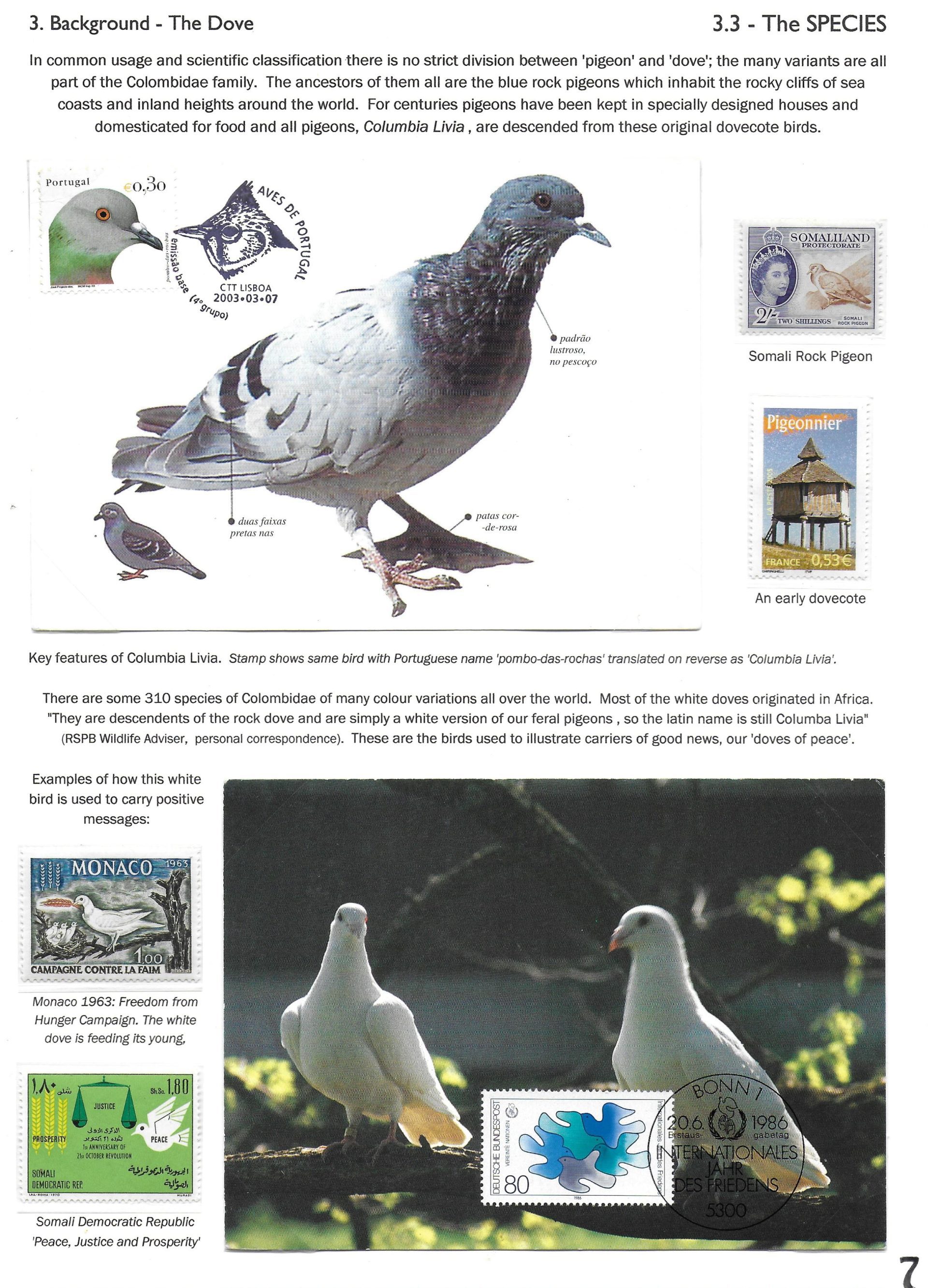 The Dove and Olive Branch; Symbols of Hope and Peace - ABPS